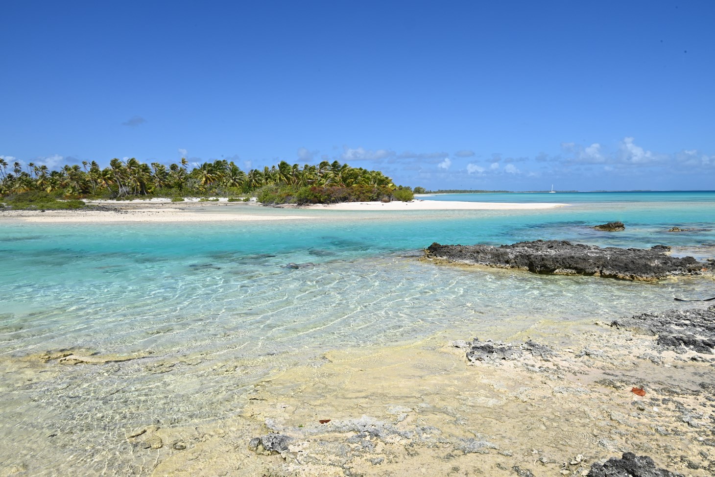 One-Week Itinerary in the Tuamotu Islands – The Hairy Giraffe